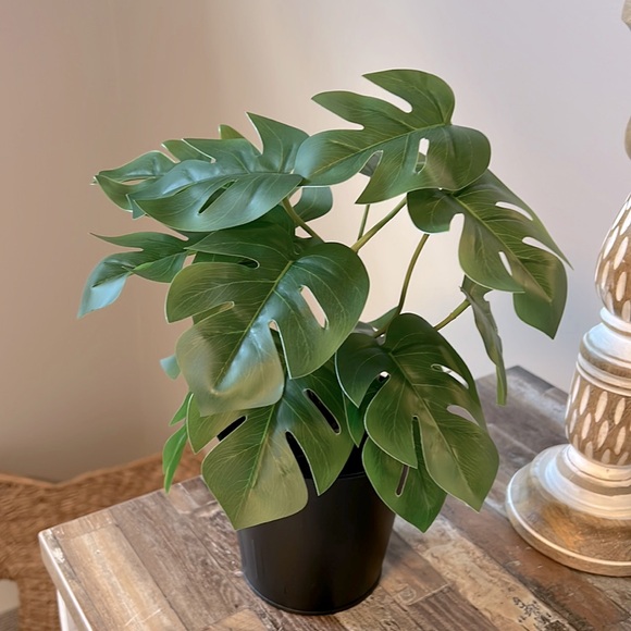 IKEA | Accents | Fake Monstera Plant | Poshmark